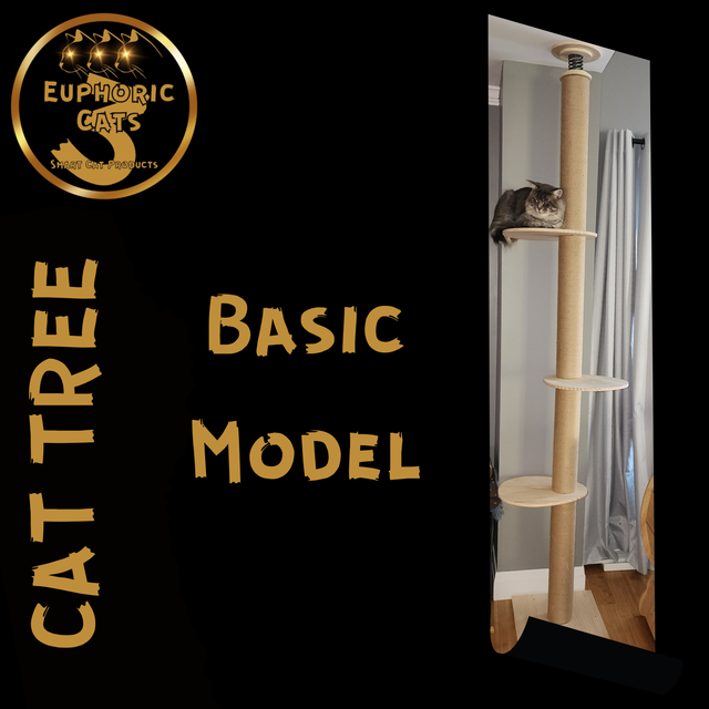 CAT TREES AND SCRATCHERS | 3 Euphoric Cats